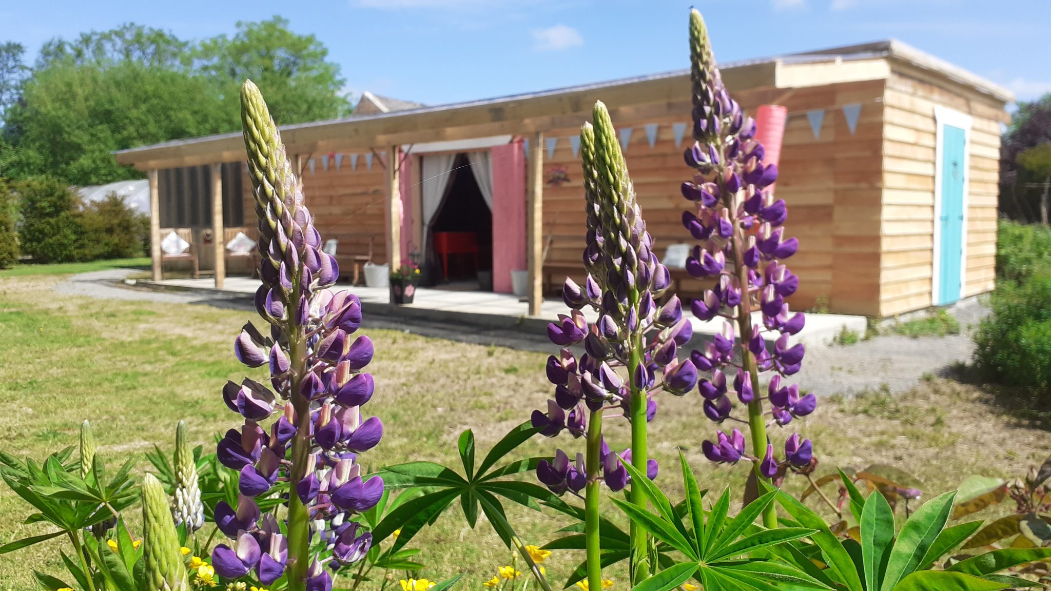 Hen Party Glamping Ireland – The Unique Hen Party Destination in Ireland